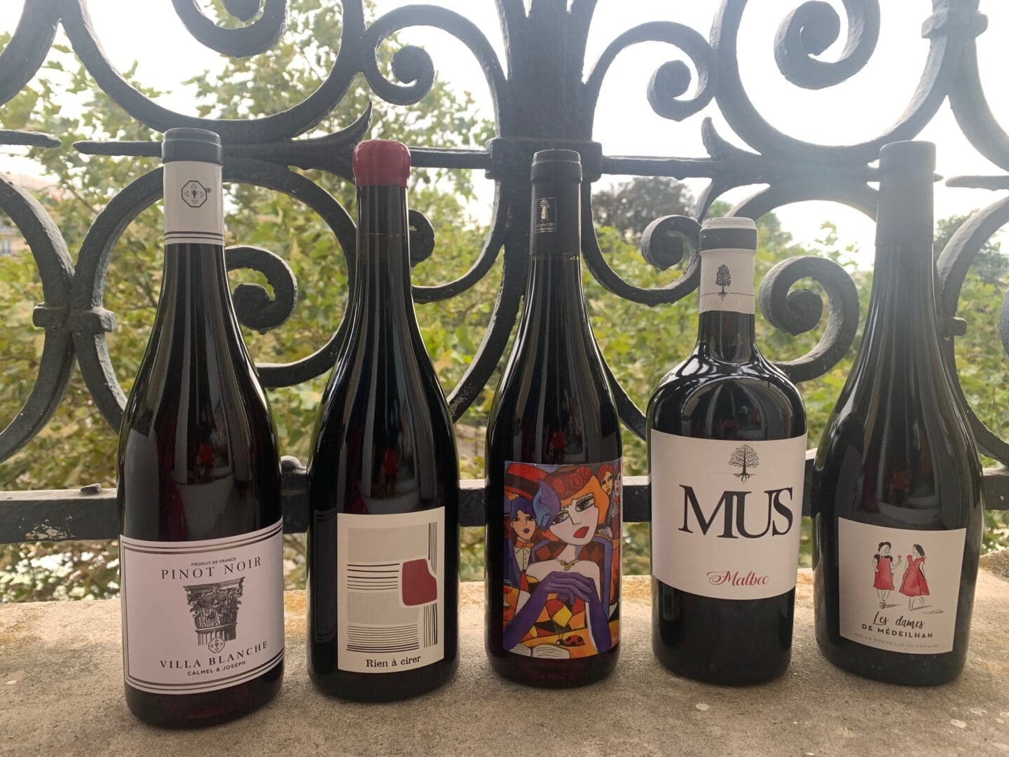 5 Rouges frais et gourmands, Ambassadeurs 2024 des Vins Pays d’Oc IGP ...
